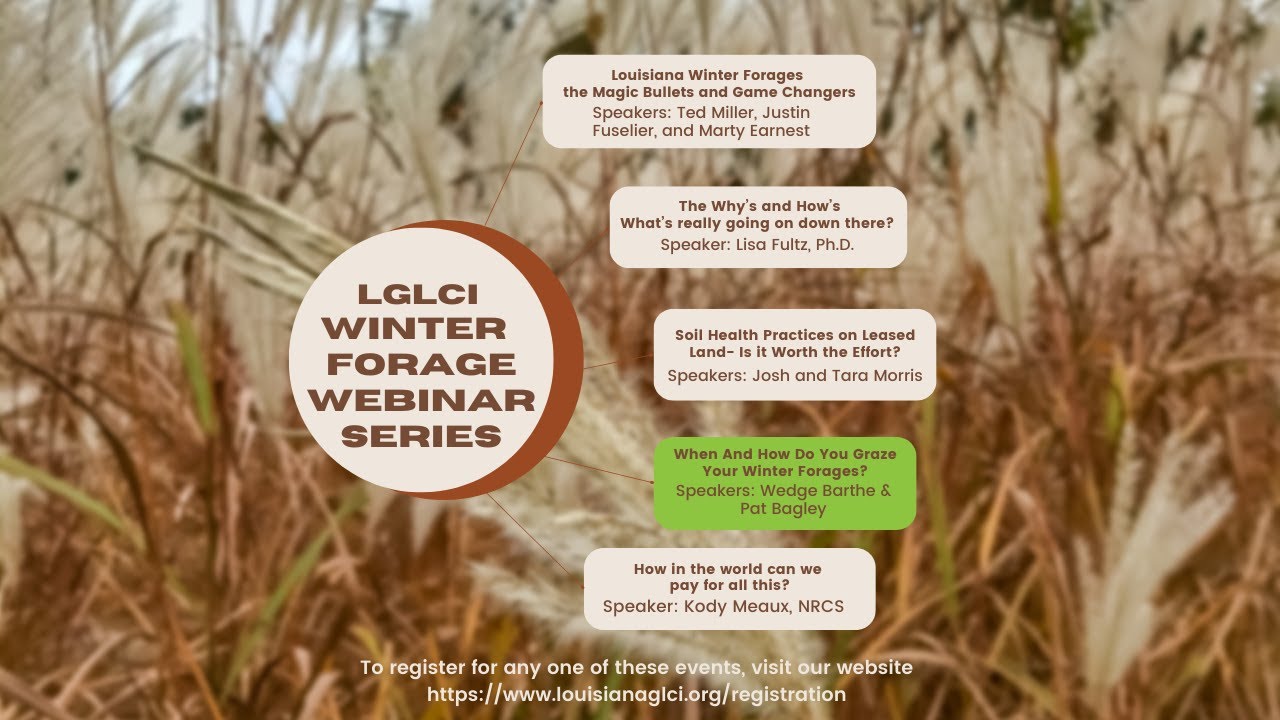 When and How to Graze Winter Forages - YouTube