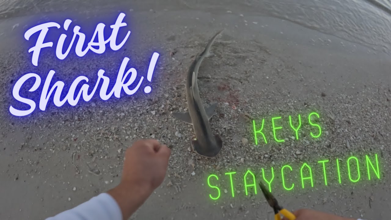Siesta Key Staycation (Catching Our First Shark!!) - YouTube