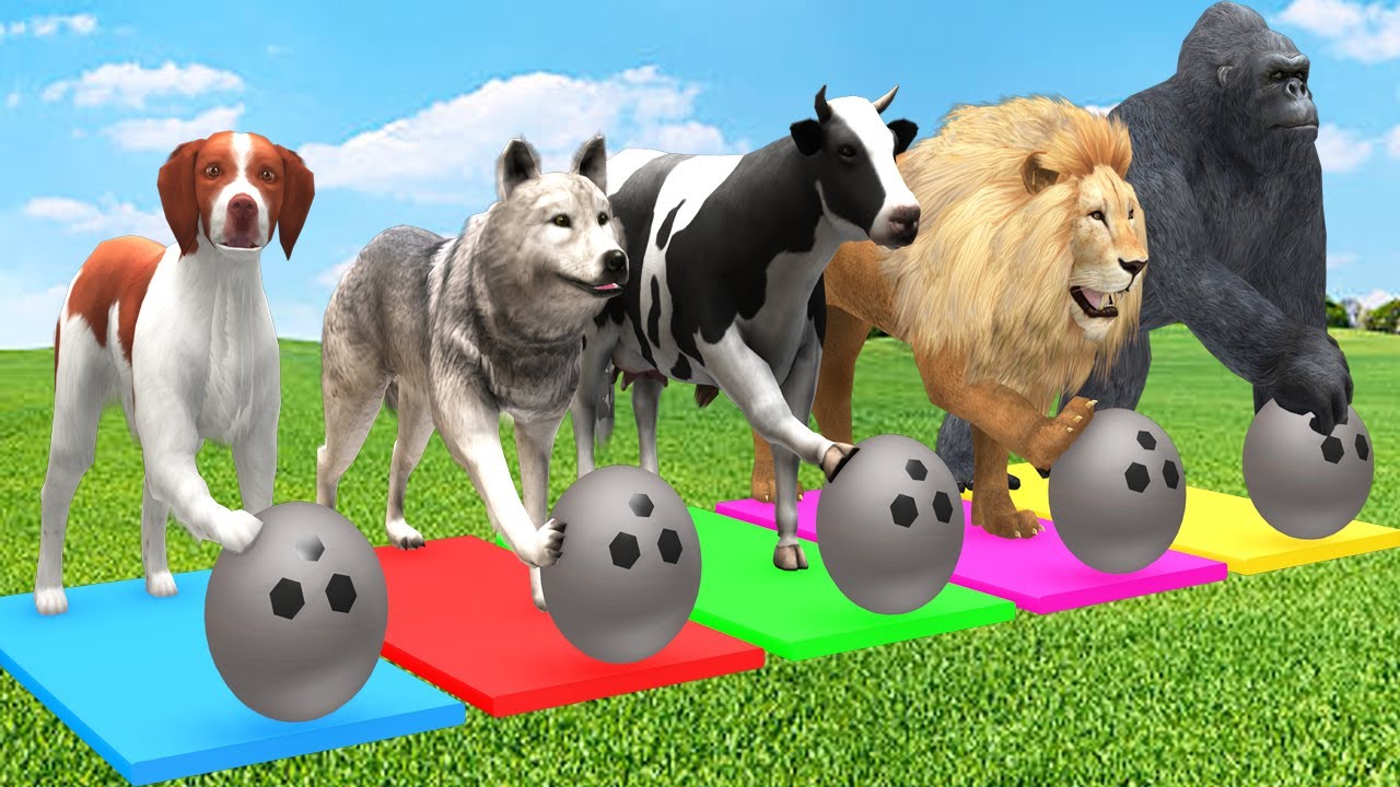 Cow Mammoth Elephant Lion Gorilla Dog Guess The Right Door Bowling Over ...