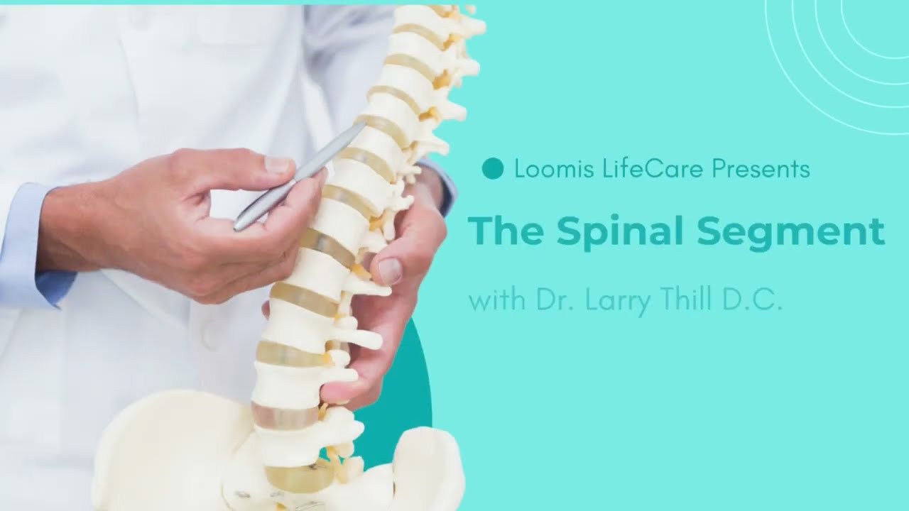 Spinal Segment L4 - YouTube
