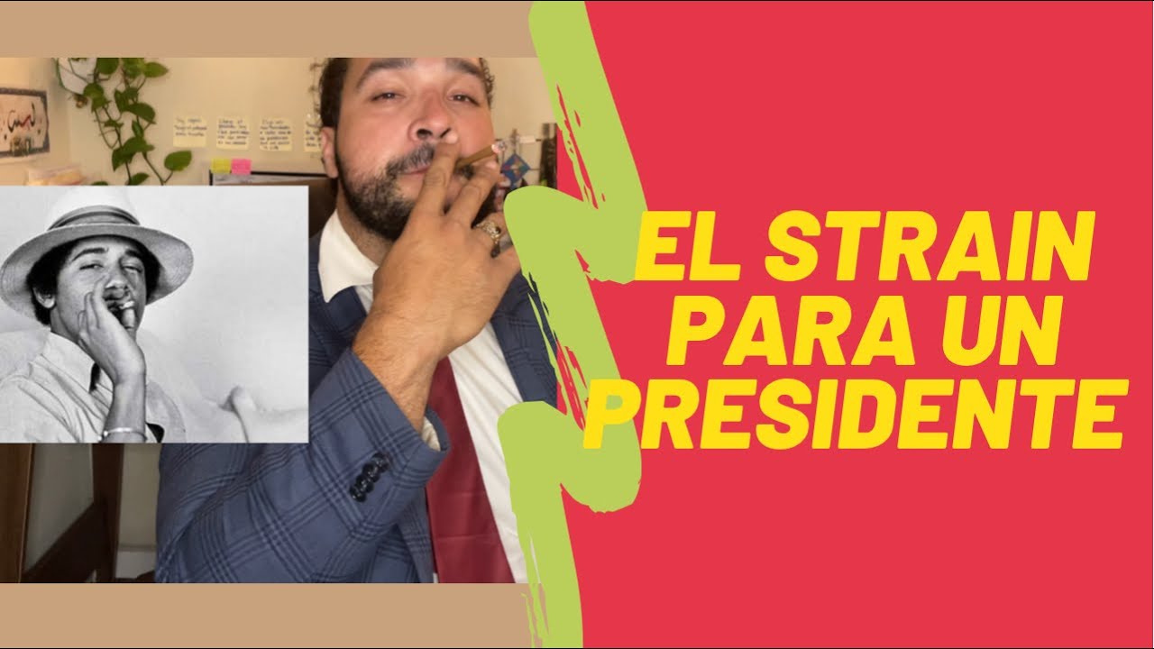 CannaVolg #003 | State of the Strain: Obama Kush - YouTube