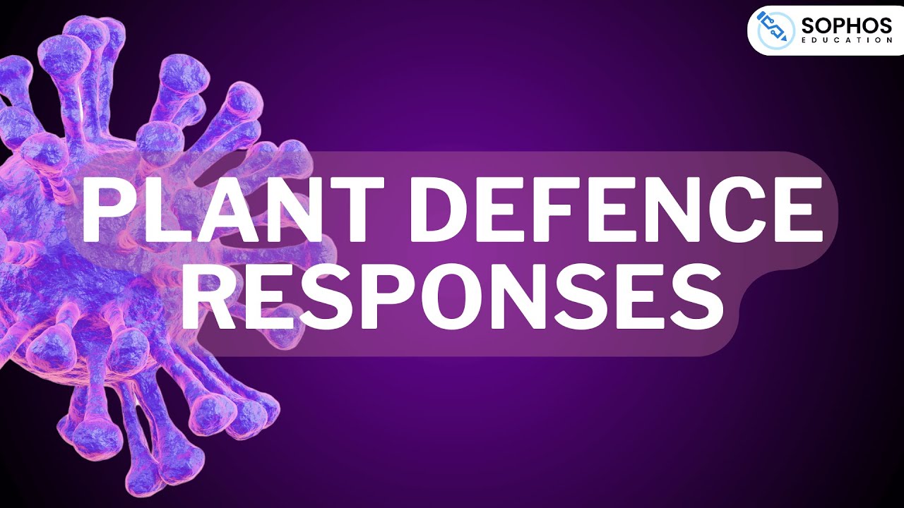 Plant Defence Responses - YouTube