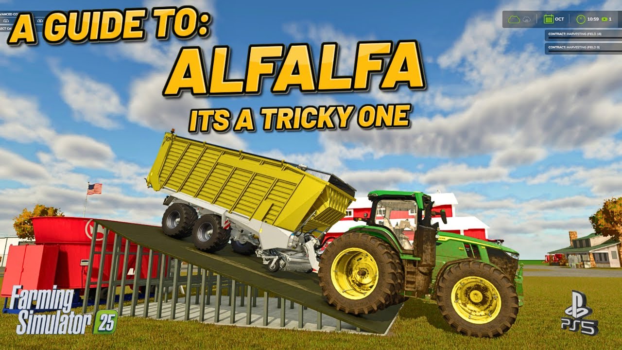 What Can We Do With Alfalfa ? Its a tricky one. Farming Simulator 25 ...
