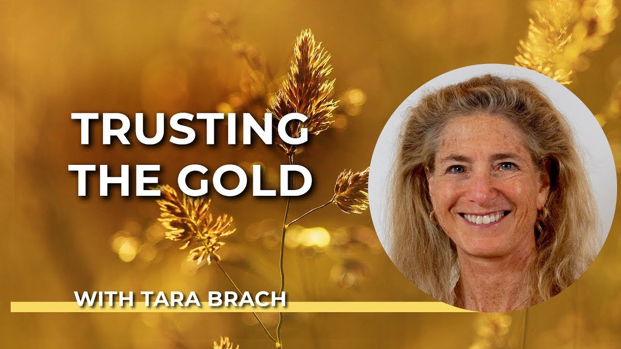 Trusting the Gold with Tara Brach - YouTube