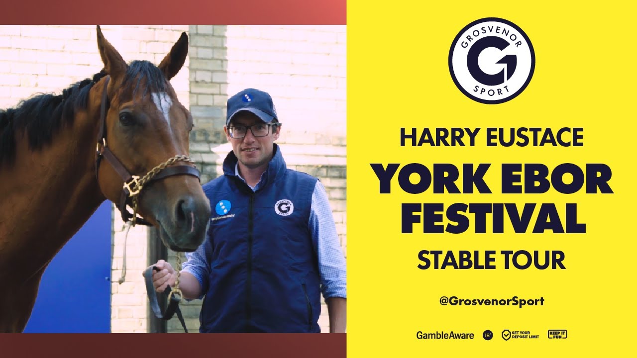 Harry Eustace on Docklands and more! | York Ebor Festival Stable Tour ...