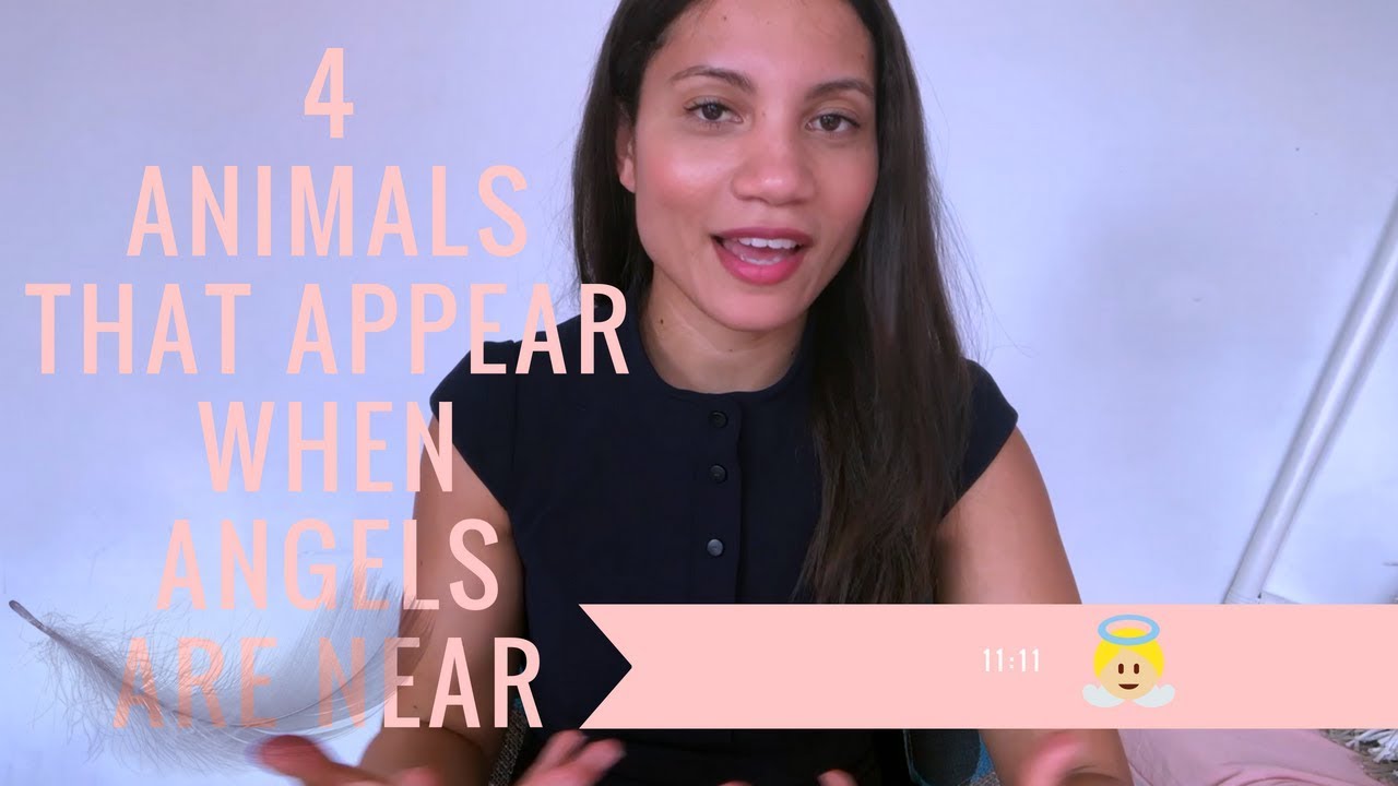 4 ANIMALS that appear when ANGELS are NEAR - YouTube