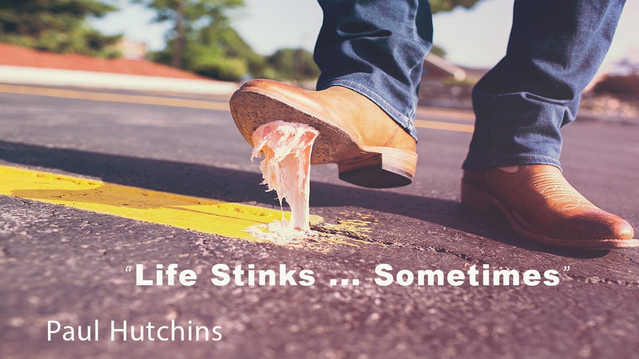 Life Stinks ... Sometimes - YouTube