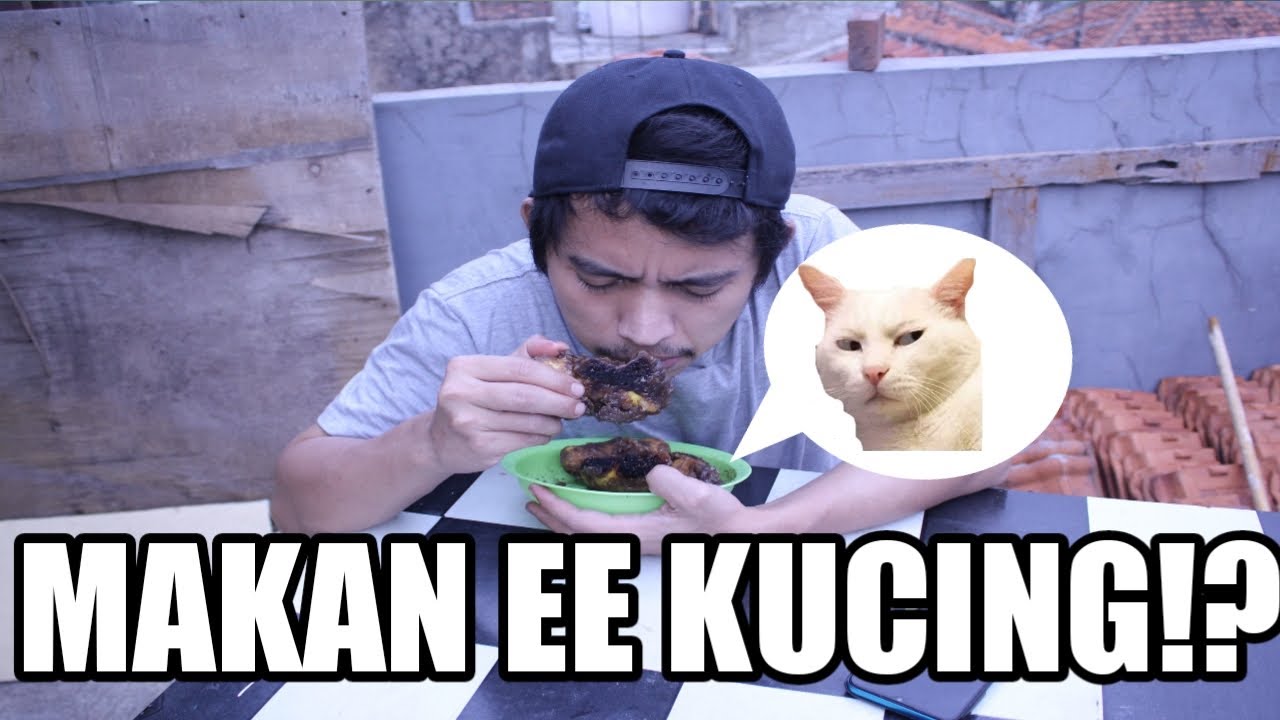 MAKAN EE KUCING !? - YouTube
