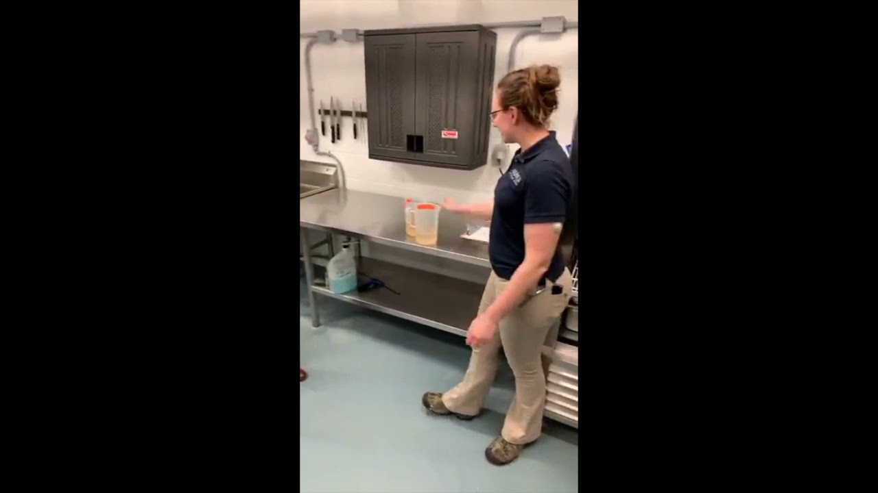 Keeping clean in the commissary: 3/17/20 - YouTube