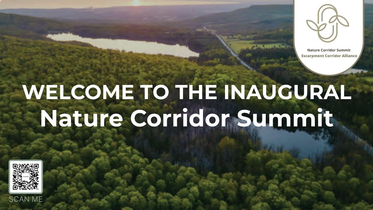 Introduction Nature Summit: Jarvis Strong, Executive Director - YouTube