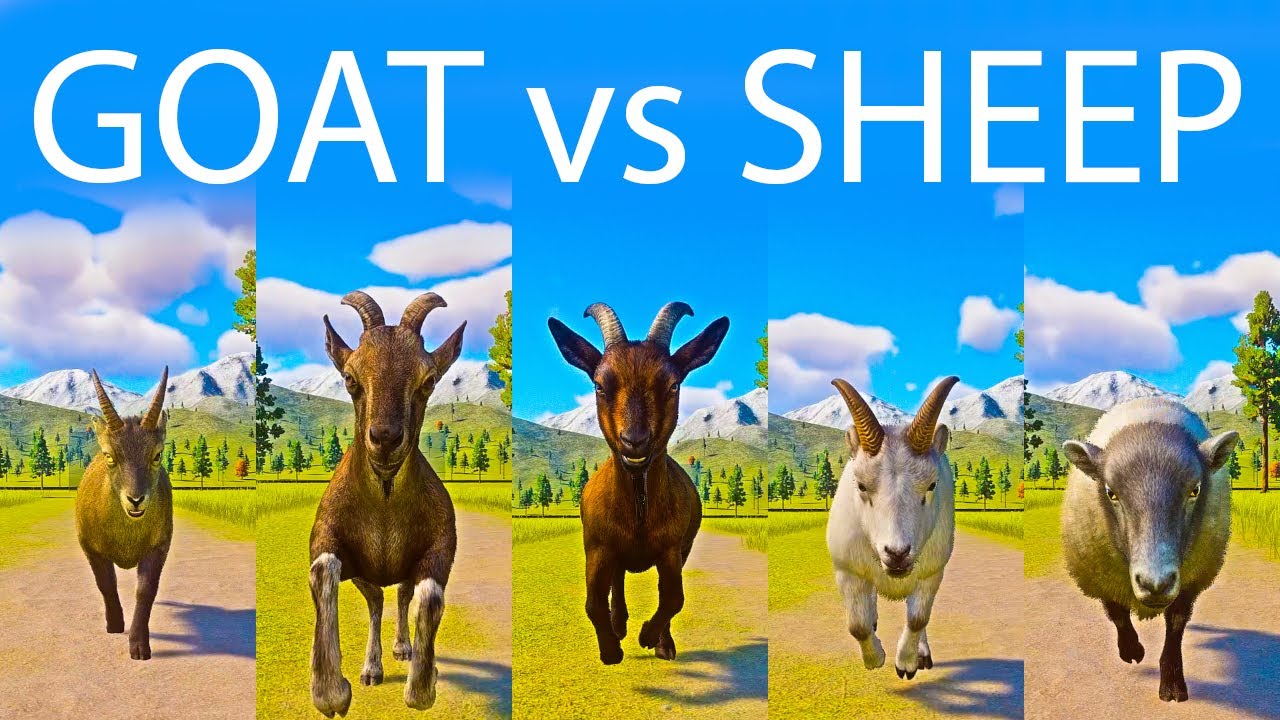 Team Goat vs Team Sheep Speed Race in Planet Zoo included Alpine Goat ...