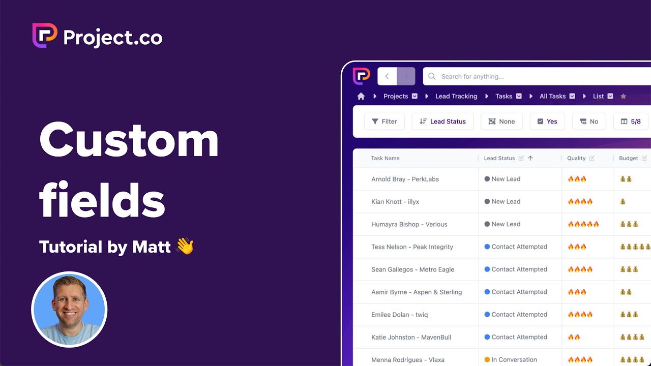 Using Custom Fields | Project co - YouTube