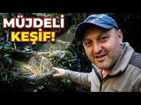 DERENİN İÇİNDEKİ BASAMAKLI GİZEMLİ KAYANIN MÜJDESİNİ BULDUK! Define Ve Arkeoloji