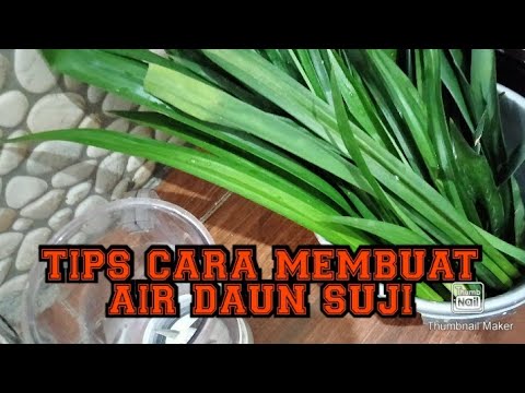 CARA MEMBUAT AIR DAUN SUJI DAN PANDAN.@/ BERGUNA BUAT JAJANAN PASAR DAN ...