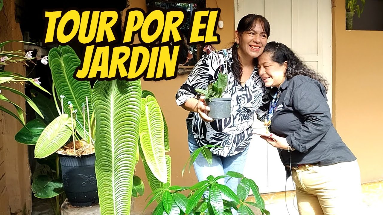 Doña socorro nos muestra su BELLO JARDÍN| El secreto para tener un ...