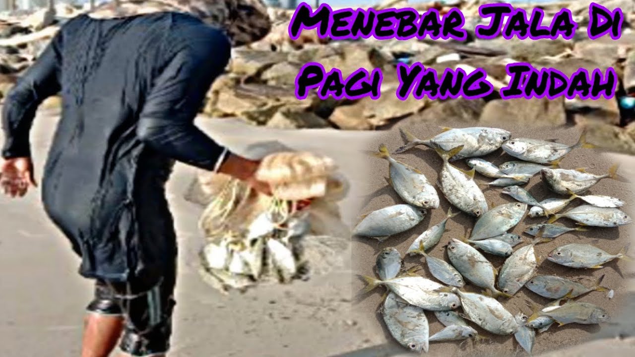 Castnet/Fishing, Menebar Jala Di Pagi Yang Indah. 🤗 - YouTube