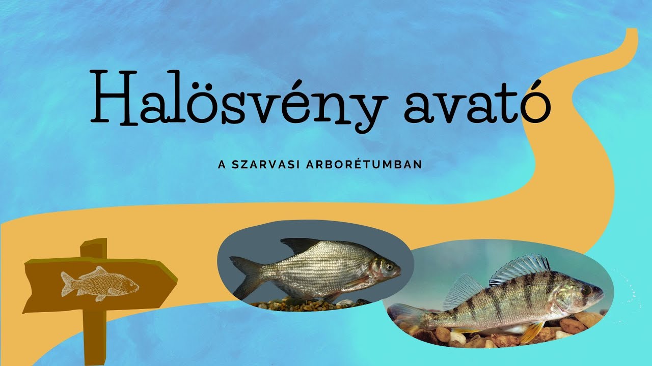 Halösvény a Szarvasi Arborétumban - YouTube