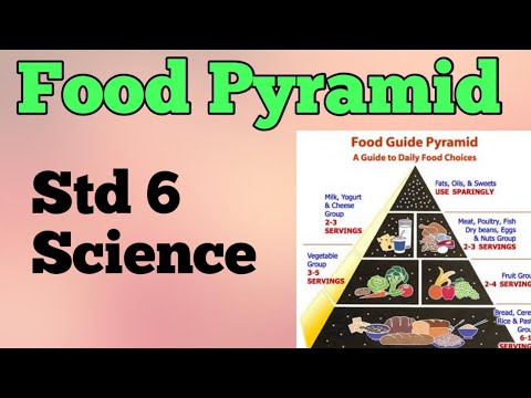 Food Pyramid class 6/Components of food /The Numerical /Kusum Tiwari ...