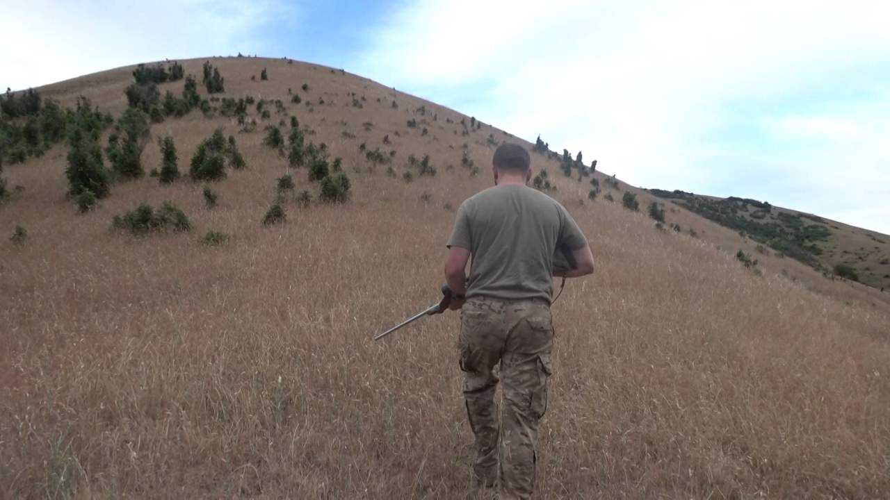 North California Wild Pig Hunt: Rogue River Ranch - YouTube