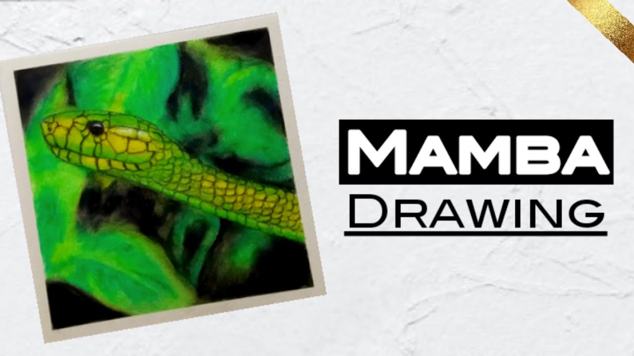 How To Draw A Snake 🐍|| Mamba Drawing || Jameson's Mamba || Oil pastel ...