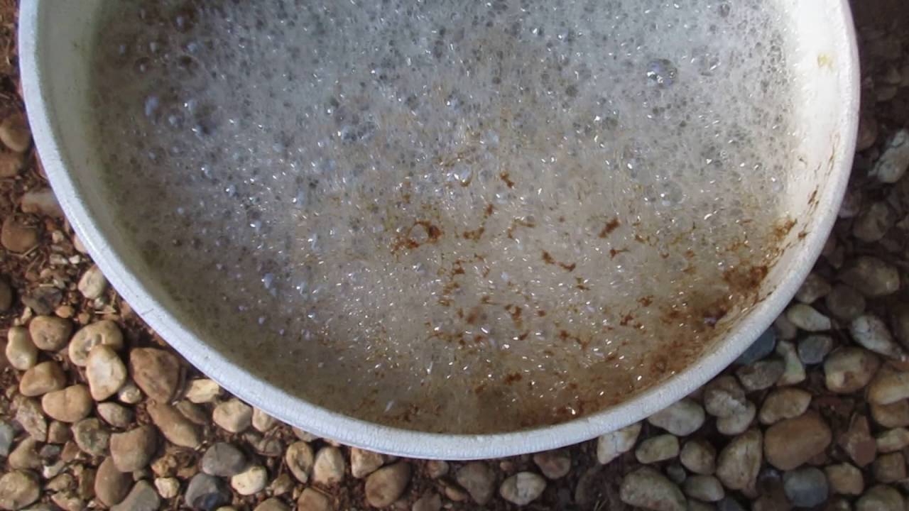 Insect Frass Tea - YouTube