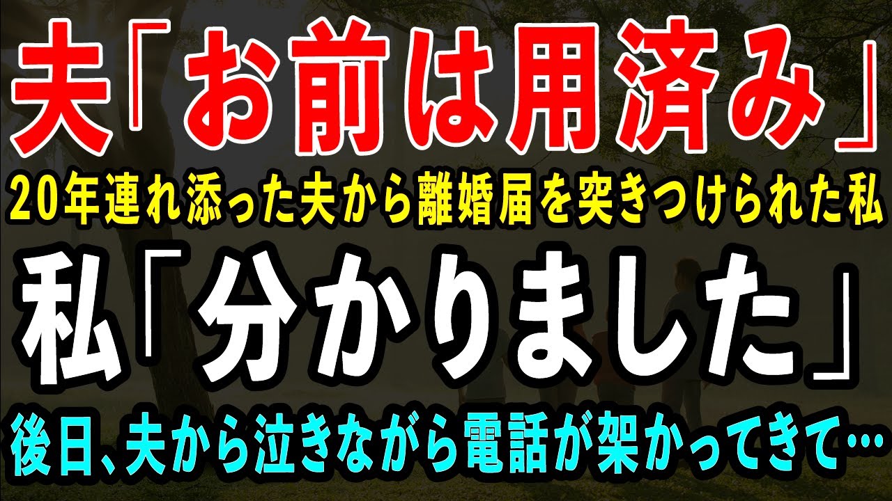 【スカッとする話】20年の結婚生活に終止符。夫「お前みたいなババアは必要ねえもう用済みだ」→私「(慰謝料地獄に落としてやる!)」【スカッと