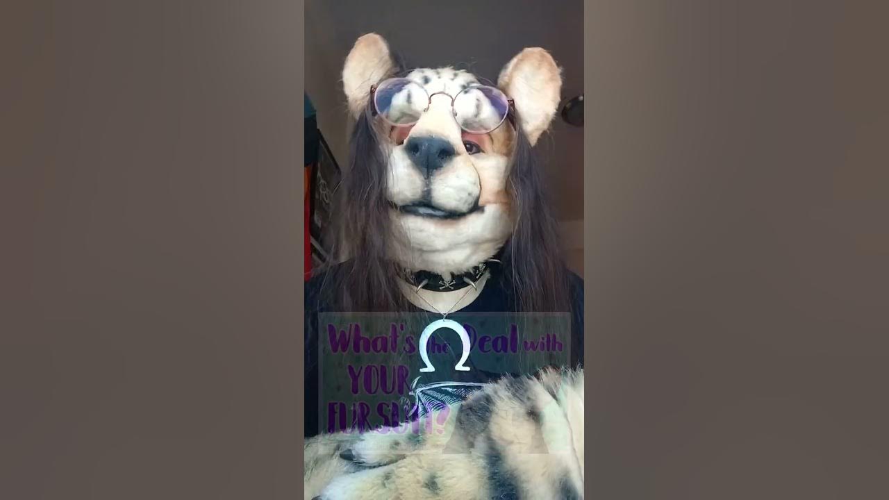 Use-your-own-eyes fursuits 🐱 A response to TikTok - YouTube
