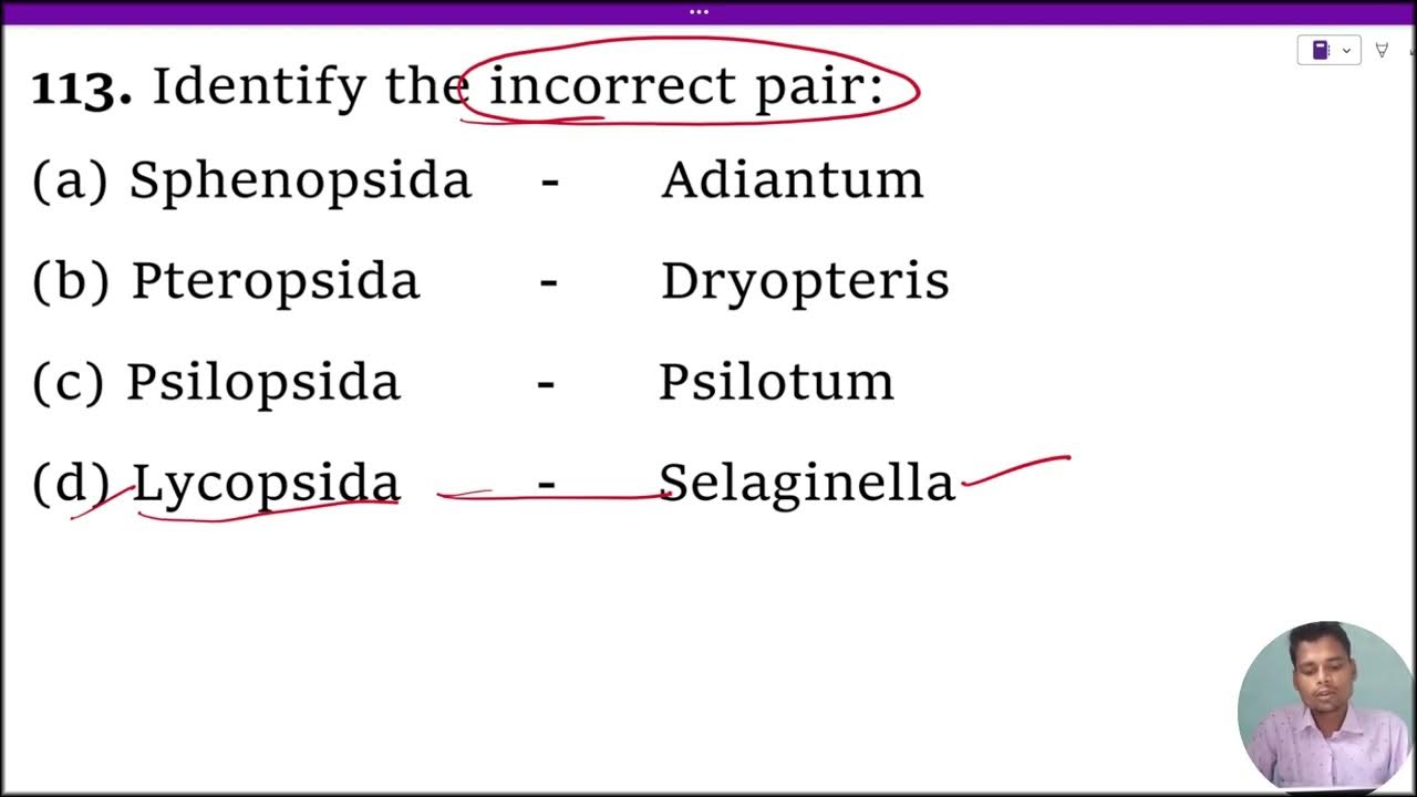 Identify the incorrect pair: sphenopsida-adiantum pteropsida-dryopteris - YouTube