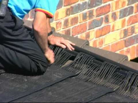 Zane solar pool heating - YouTube