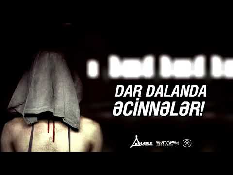 XPERT - DAR DALANDA ƏCİNNƏLƏR
