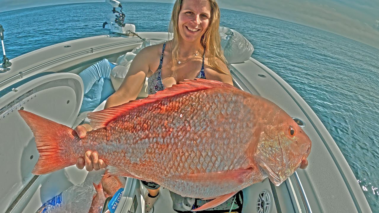 EASY Red Snapper Limits out of Naples, Florida in the Gulf of Mexico *Catch, Clean and Cook ...