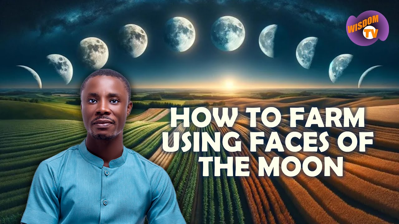 HOW TO FARM USING FACES OF THE MOON - YouTube