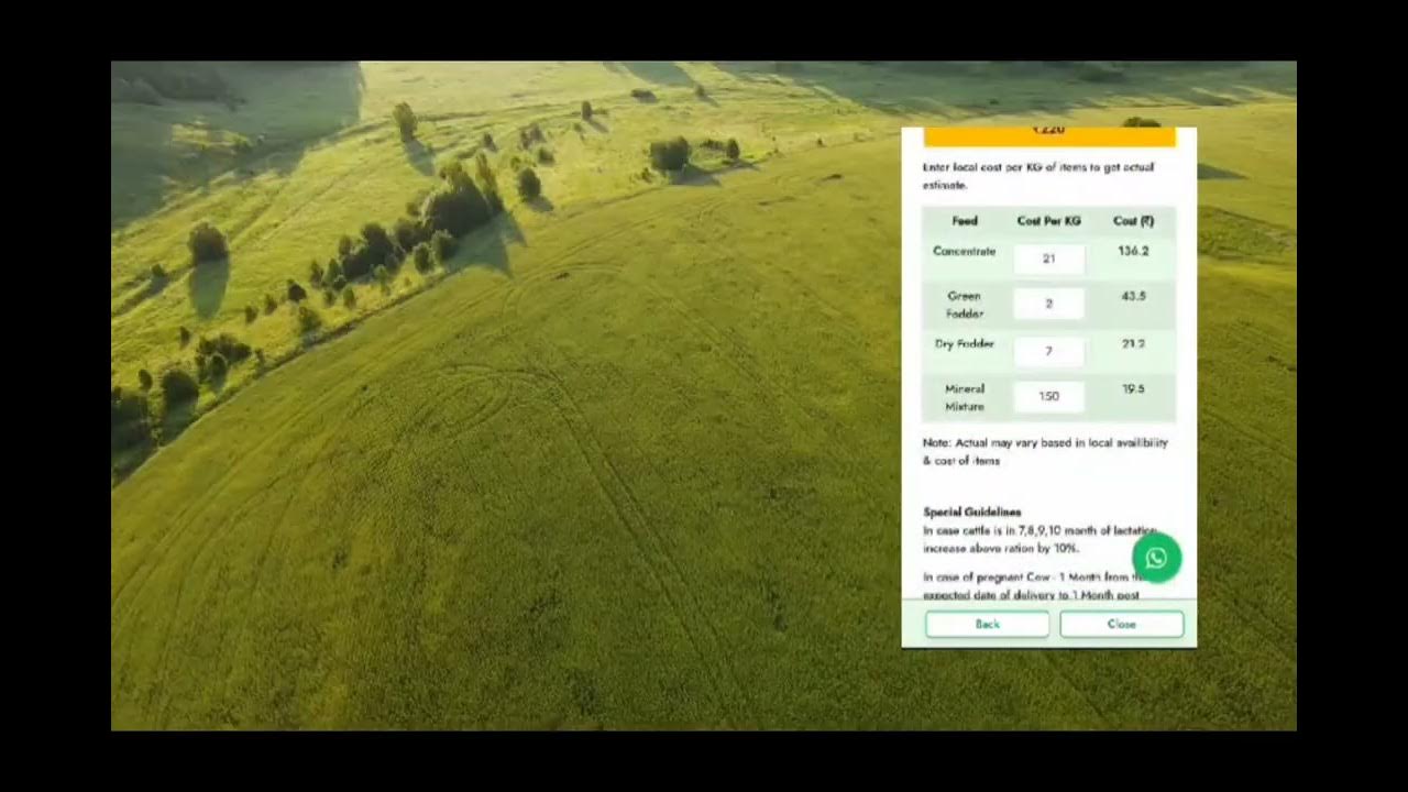 "Optimizing Cattle Nutrition: Using Pashushala.com Feed Calculator for Healthy Livestock" - YouTube