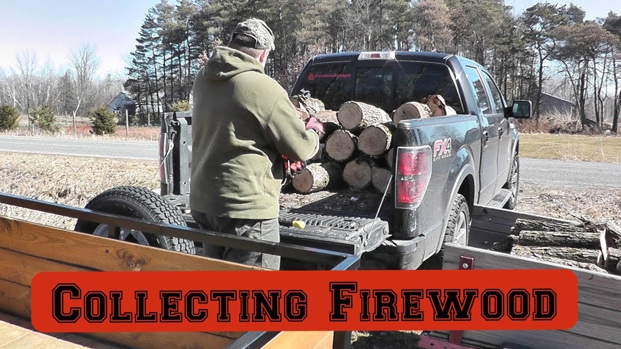 Collecting Firewood - YouTube