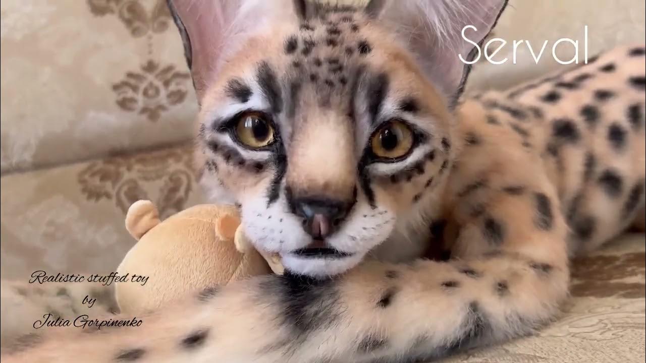 Serval.Realistic stuffed toy. - YouTube