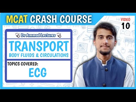 ECG || Electrocardiogram || Electrocardiograph || Body Fluids and ...