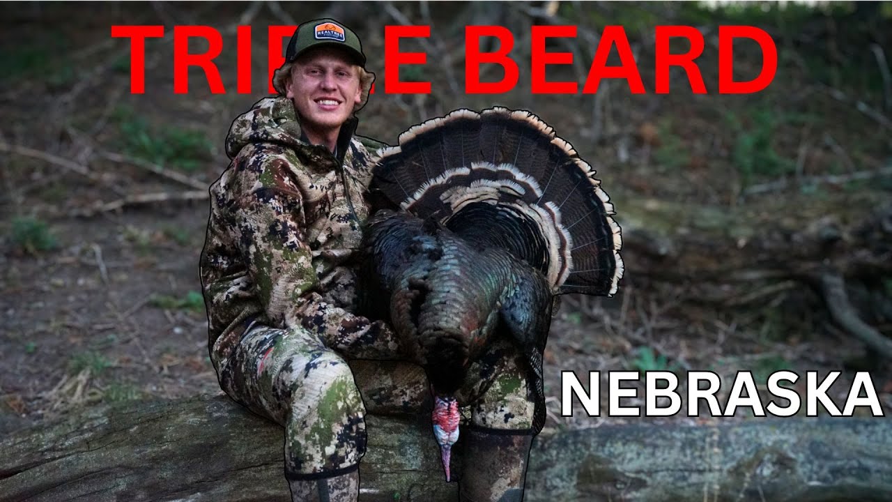 My first Triple Bearded Turkey | 2024 Nebraska Turkey Hunting (INSANE ...