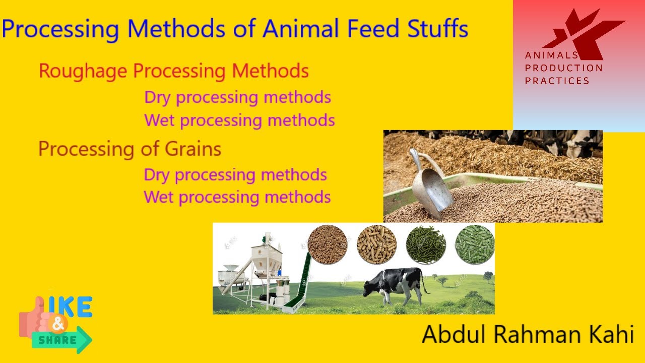 Processing Methods of Animal Feed Stuffs|Roughages processing|Grains ...