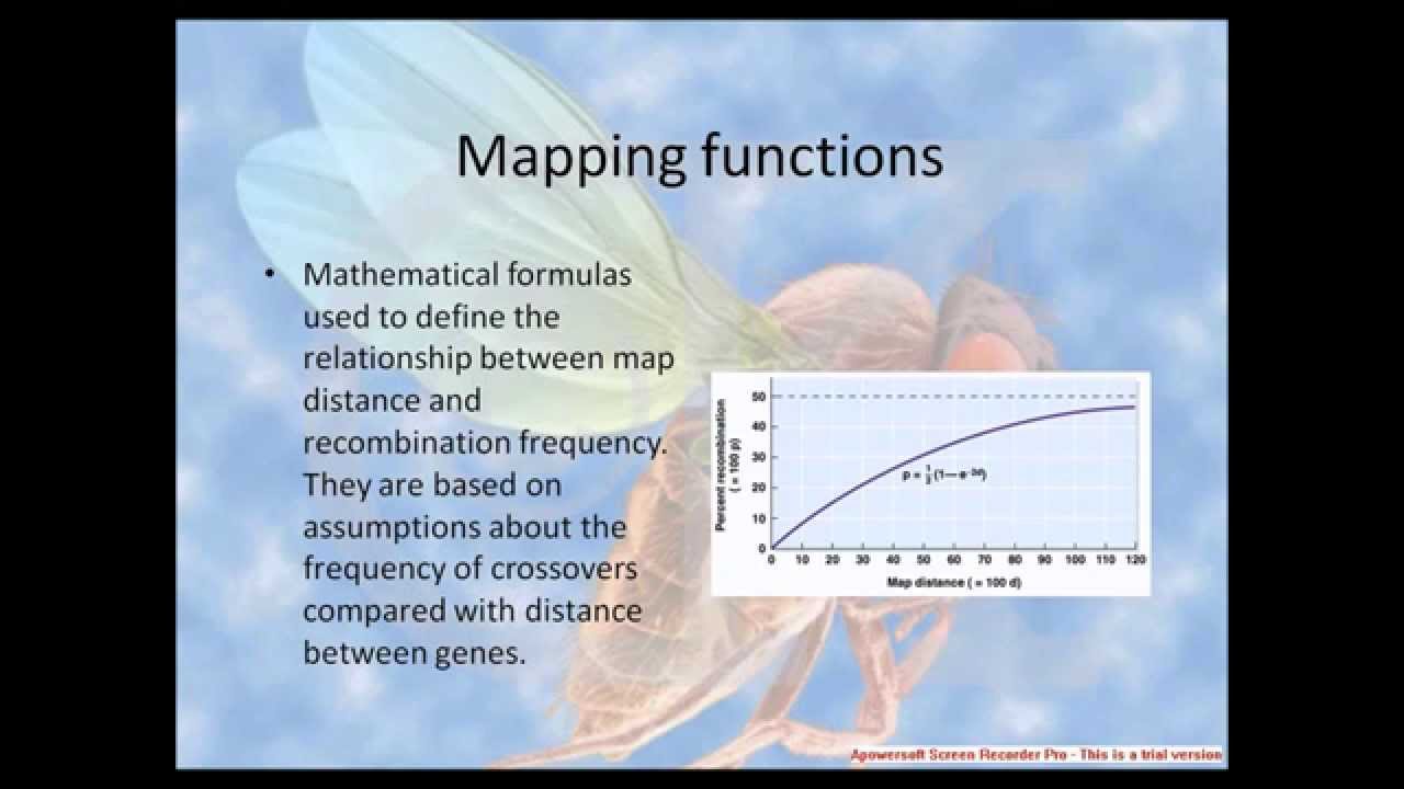 Interference and coincidence 15 - YouTube