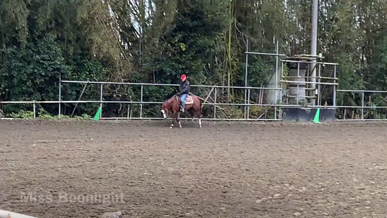 Miss Boonlight training 12.26.19 - YouTube
