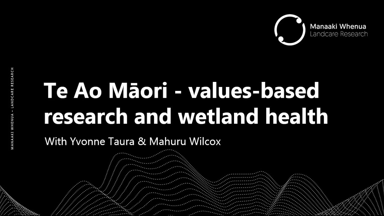 Te Ao Māori values based research and wetland health - YouTube
