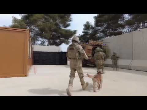 Sınırlardan yasa dışı yollarla geçmeye çalışan 5'i terör örgütü mensubu 14 kişi yakalandı