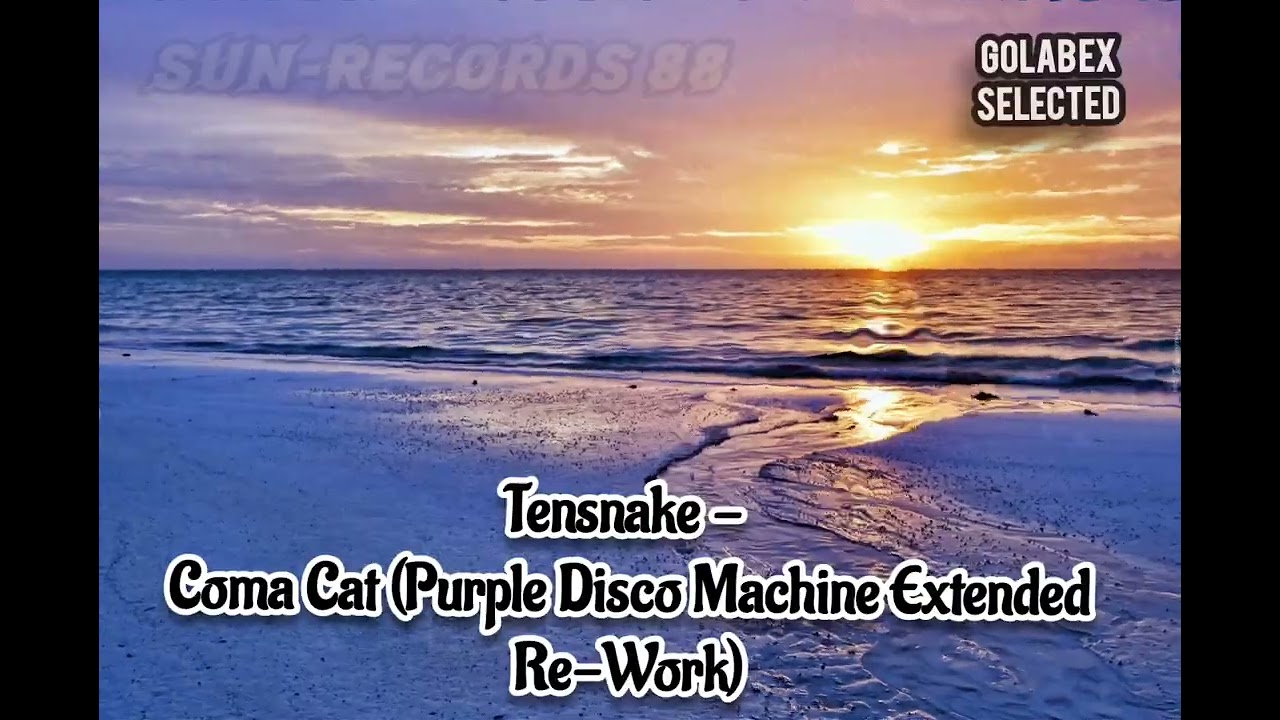 Tensnake - Coma Cat (Purple Disco Machine Extended Re-Work) - YouTube