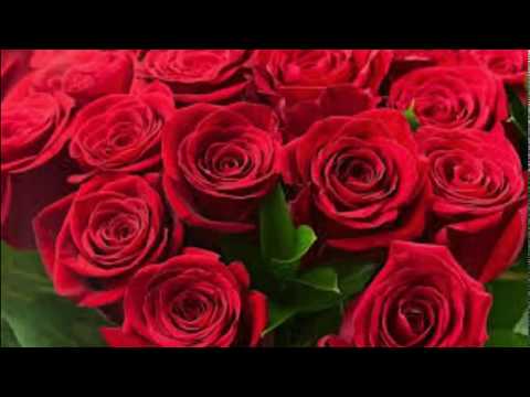 BAYRAM TEBRIGI BAYRAM TABRIGI!