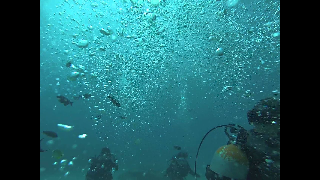 30 Ft Scuba Dive - YouTube