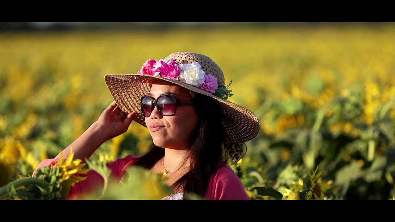 Hmong Toj siab- by Lis koob Xyooj - Sunflowers at Nixon CA - YouTube