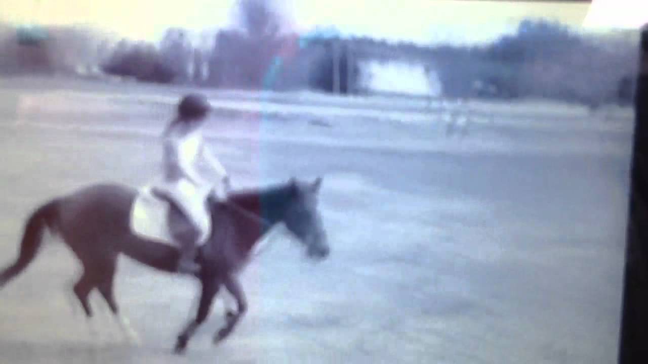 Cantering in a field! - YouTube