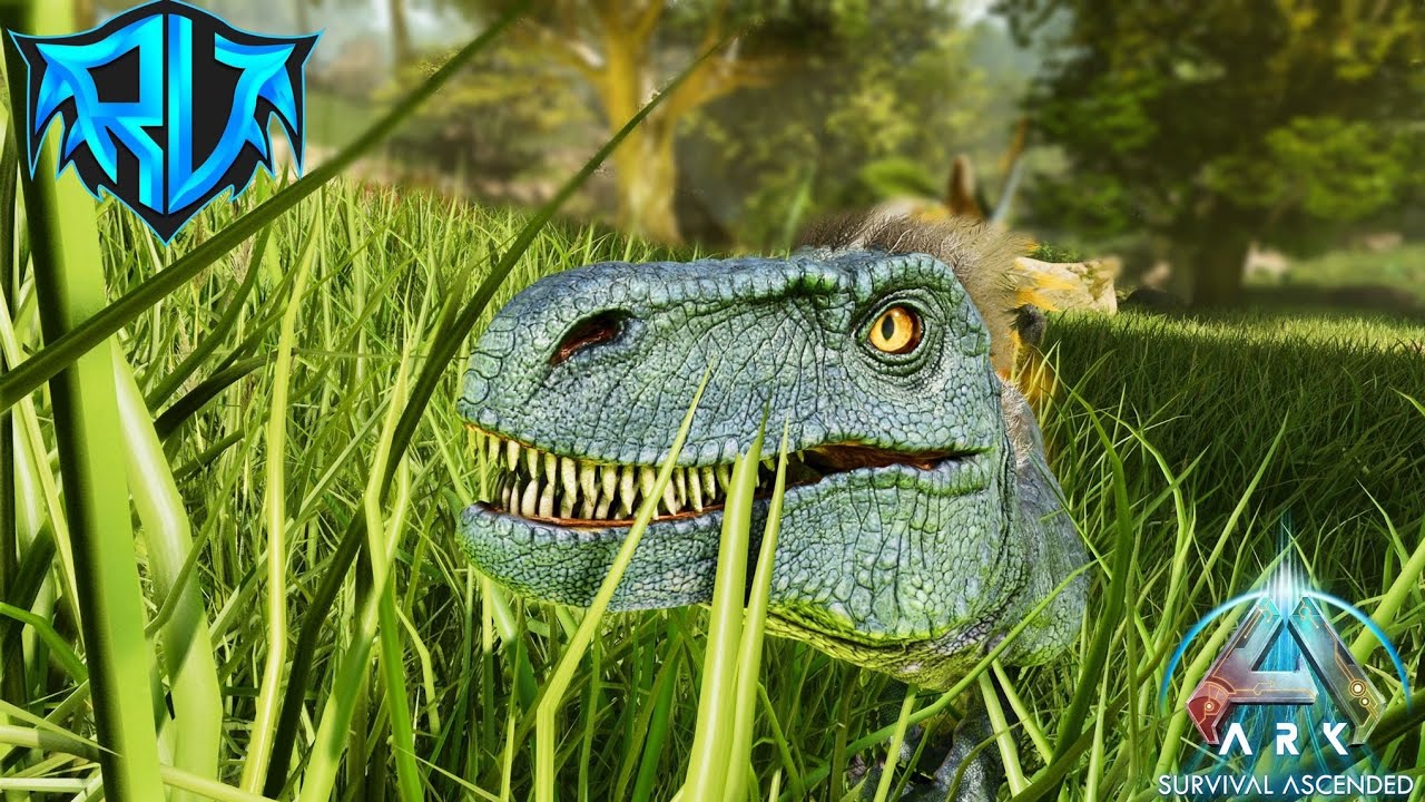 Raptor İncelemesi!! | ARK: Survival Ascended | Bölüm #5 - YouTube