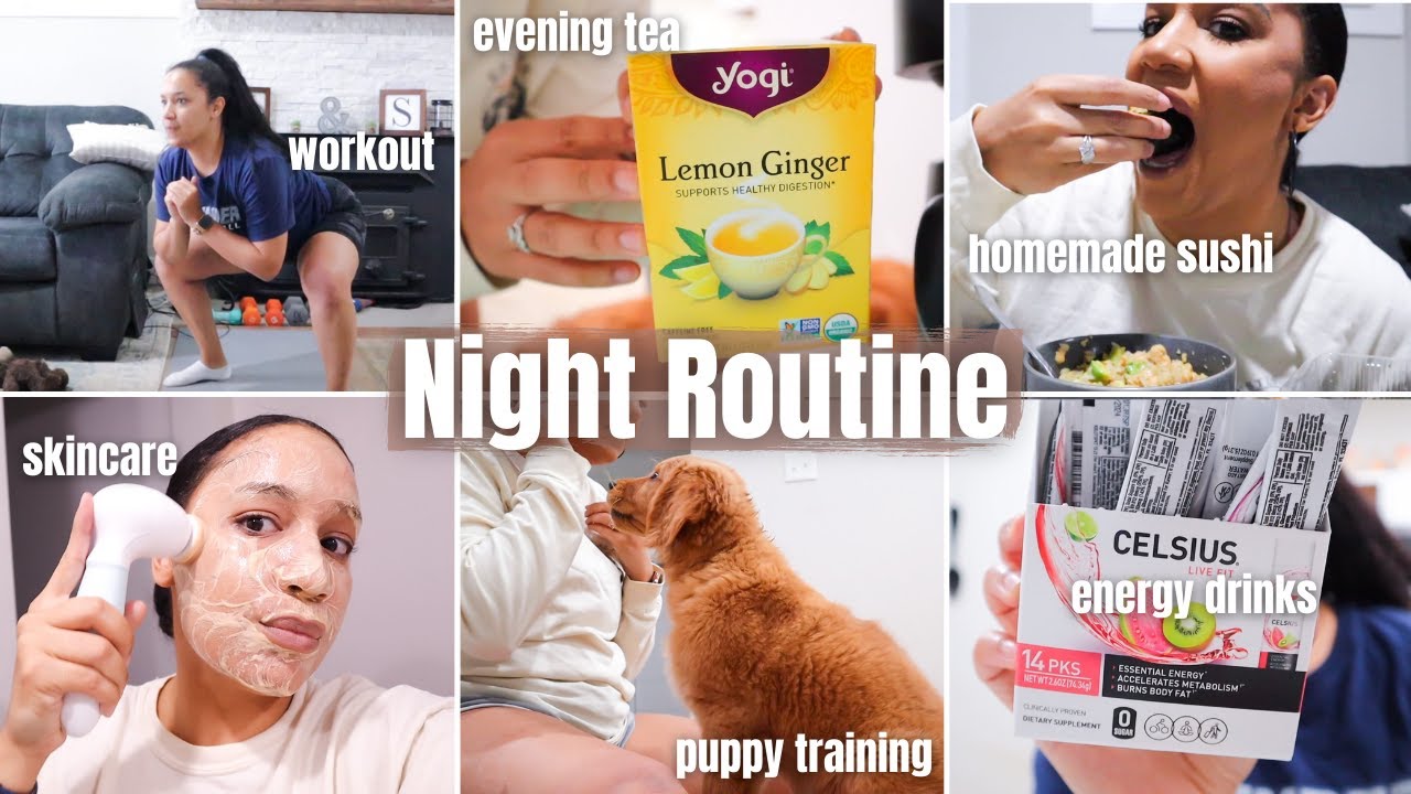 My Night Routine with a puppy // Dog Mom evening routine | Evening ...