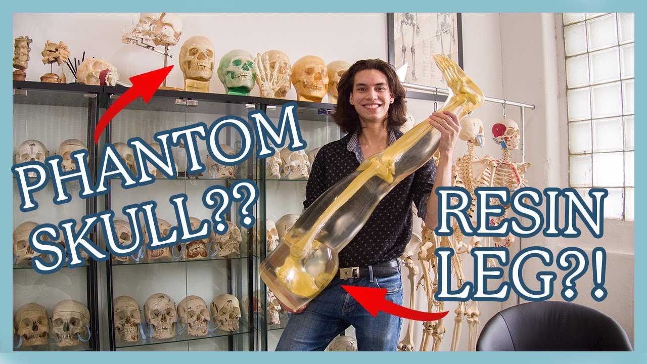 What Is An X-Ray Phantom Skull? - YouTube
